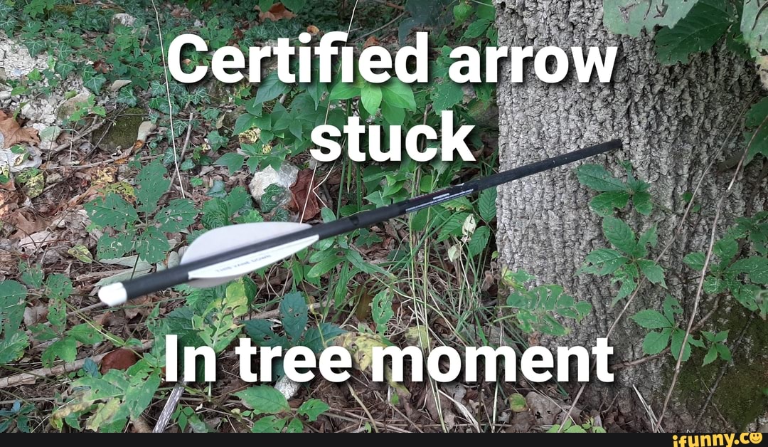 Certified arrow _ stuck In tree moment_ - iFunny