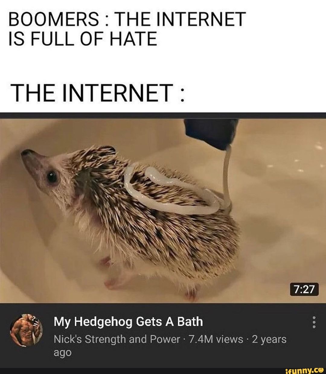 BOOMERS THE INTERNET IS FULL OF HATE THE INTERNET 48: "My Hedgehog Gets ...