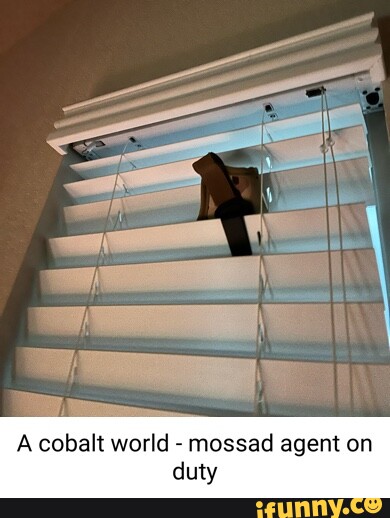 Cobalt memes. Best Collection of funny Cobalt pictures on iFunny