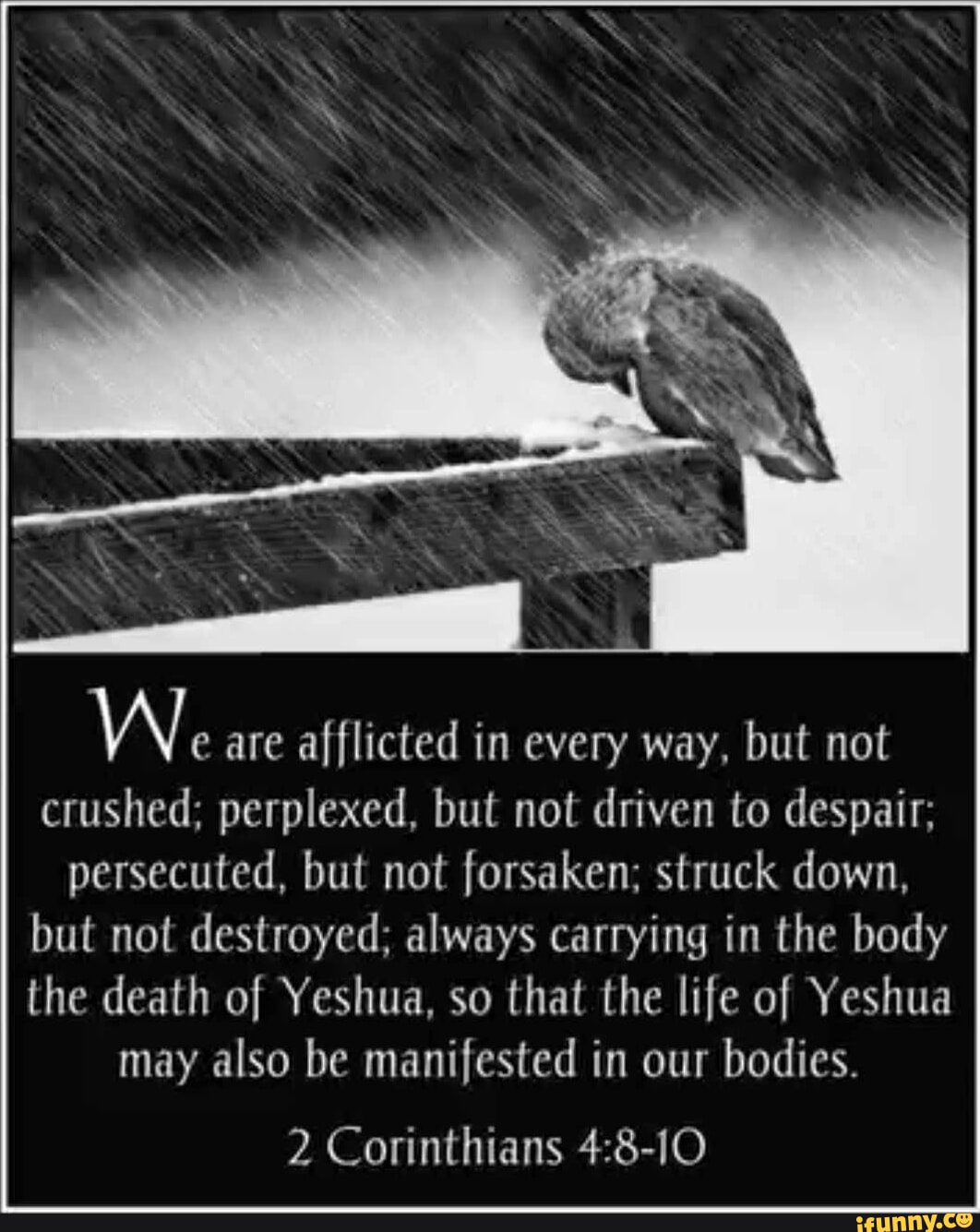 Perplexed memes. Best Collection of funny Perplexed pictures on iFunny