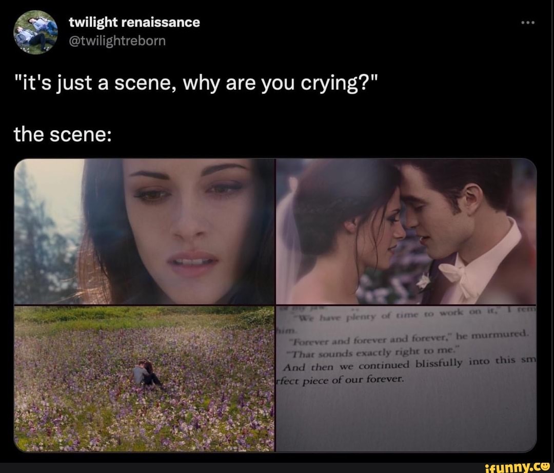 Twilight renaissance @twilightreborn "it's just a scene, why are you ...