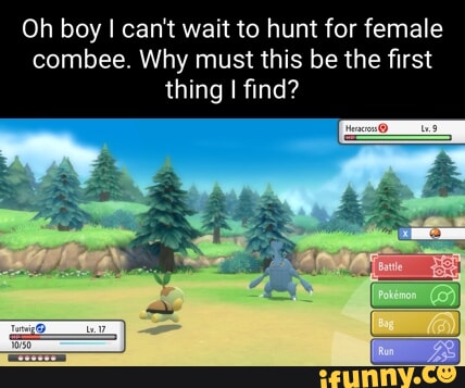 Combee memes. Best Collection of funny Combee pictures on iFunny