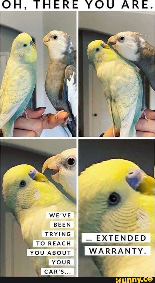 OH, THERE YOU ARE. WE'VE BEEN EXTENDED TO REACH YOU ABOUT WARRANTY. I ...