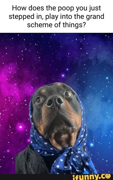 How does the poop you just stepped in, play into the grand scheme of ...