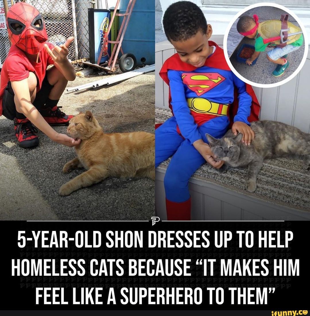 O-YEAR-OLD SHON DRESSES UP TO HELP HOMELESS CATS BECAUSE "IT MAKES HIM ...