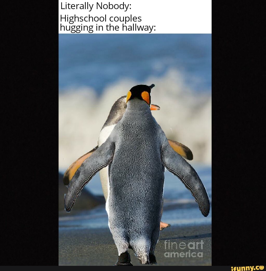 Literally Nobody: Highschool couples hugging in the hallway: - iFunny