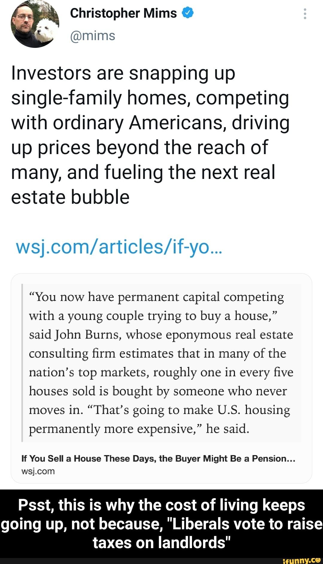 Mims memes. Best Collection of funny Mims pictures on iFunny