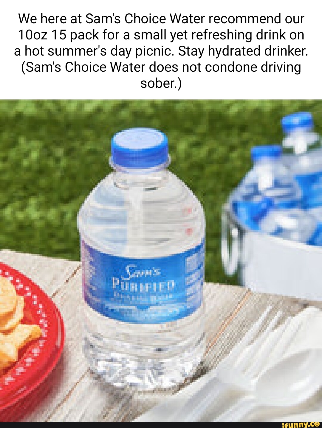 Picnic memes. Best Collection of funny Picnic pictures on iFunny