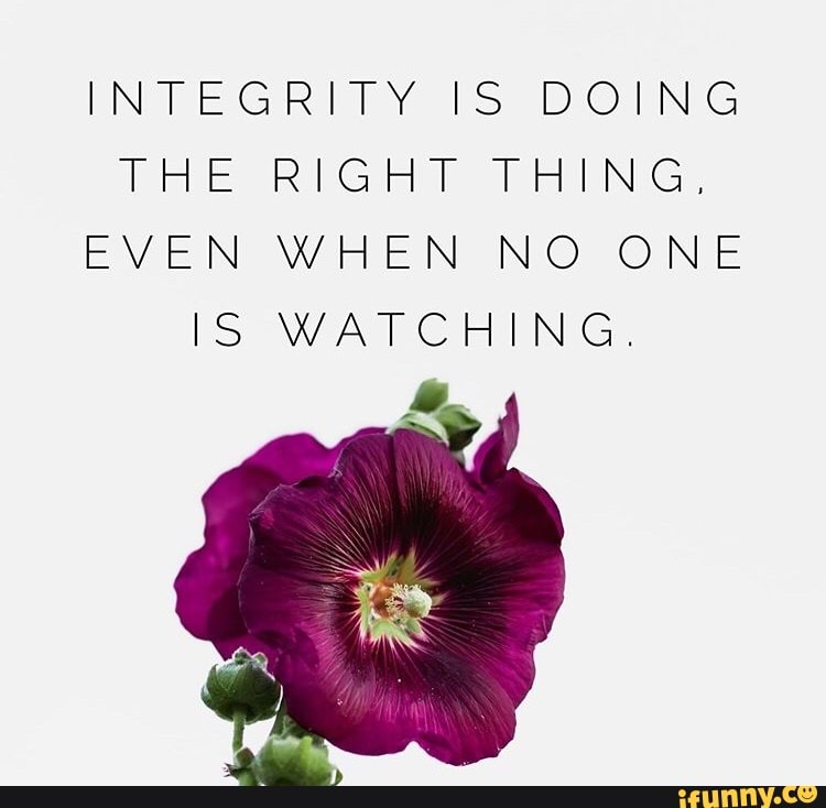 Ntegrity memes. Best Collection of funny Ntegrity pictures on iFunny