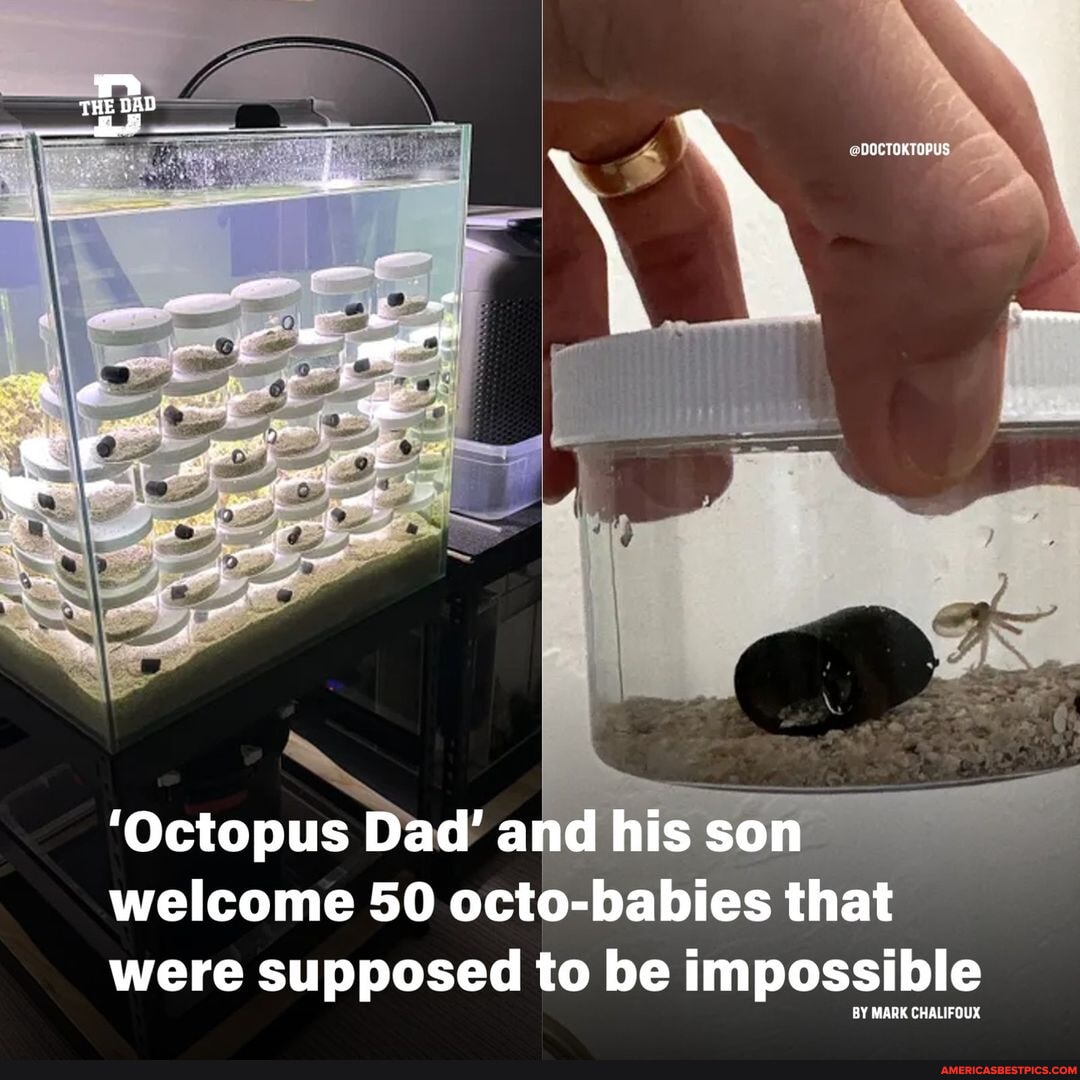 The best thing you can do as a dad is go all out for your kid. For ...