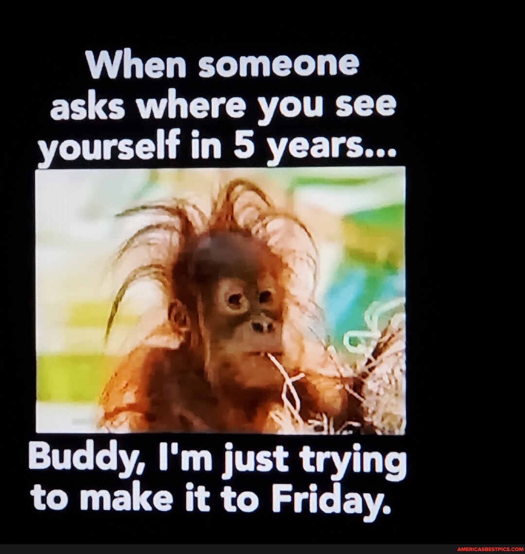 When someone asks where you see ourself in 5 years... Buddy, I'm just ...