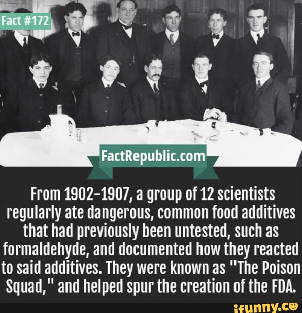 Factrepublic memes. Best Collection of funny Factrepublic pictures on ...