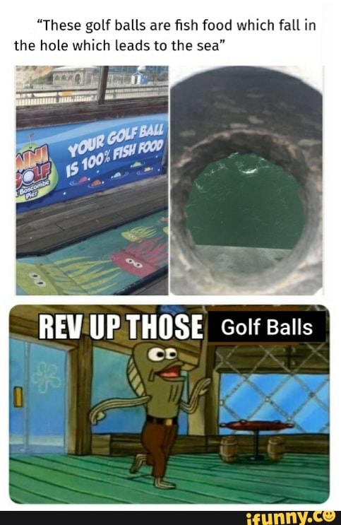 "These golf balls are fish food which fall in the hole which leads to ...