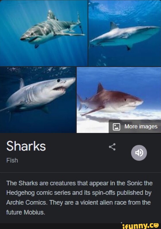 Sharks Fish More mages The Sharks are creatures that appear in the ...