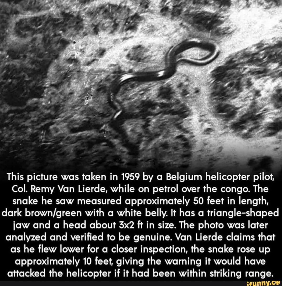 This picture was taken in 1959 by a Belgium helicopter pilot, Col. Remy ...