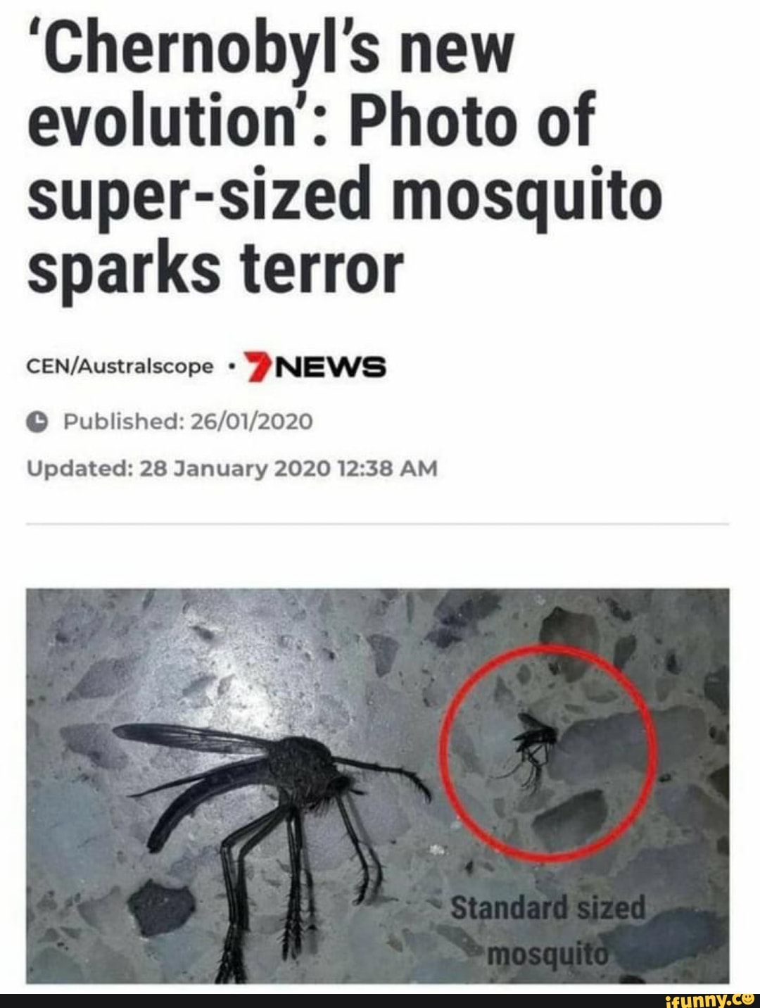 'Chernobyl's new evolution': Photo of super-sized mosquito sparks ...