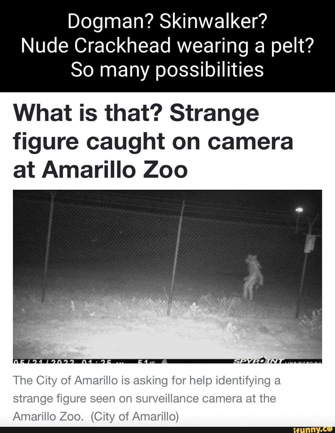 Dogman? Skinwalker? Nude Crackhead wearing a pelt? So many ...