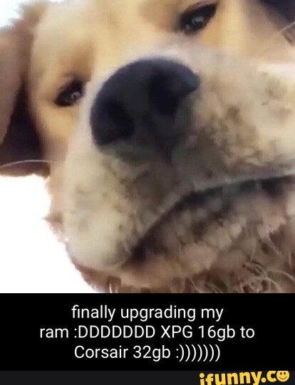 Ddddddd memes. Best Collection of funny Ddddddd pictures on iFunny