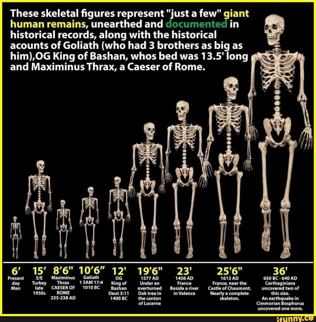 These skeletal figures represent "just a few" giant human remains ...