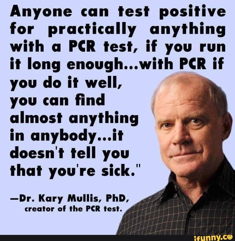 Anyone can test positive for practically anything with a PCR test, if ...