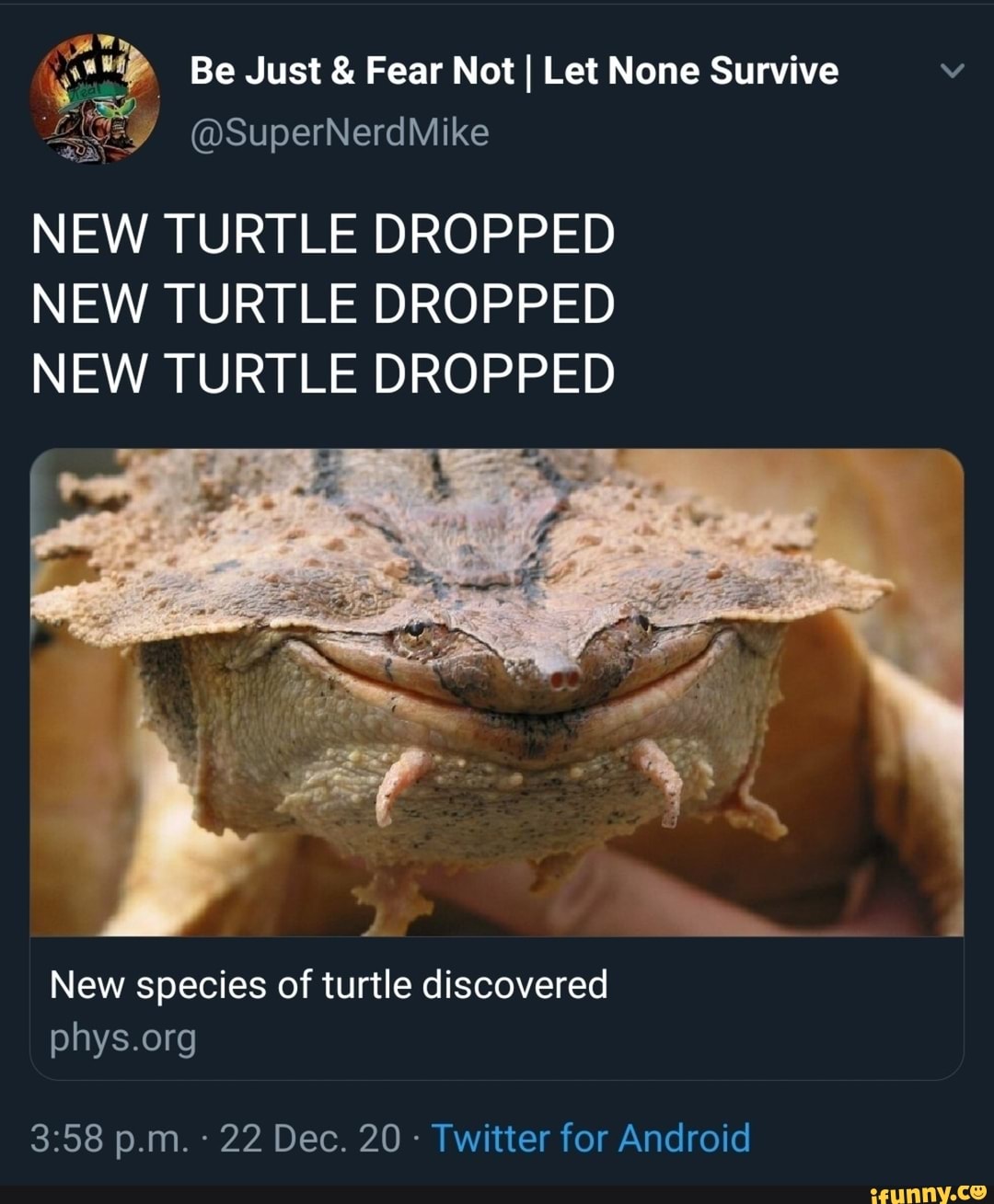 Be Just & Fear Not I Let None Survive NEW TURTLE DROPPED NEW TURTLE ...