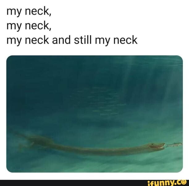 My neck, my neck, my neck and still my neck - iFunny