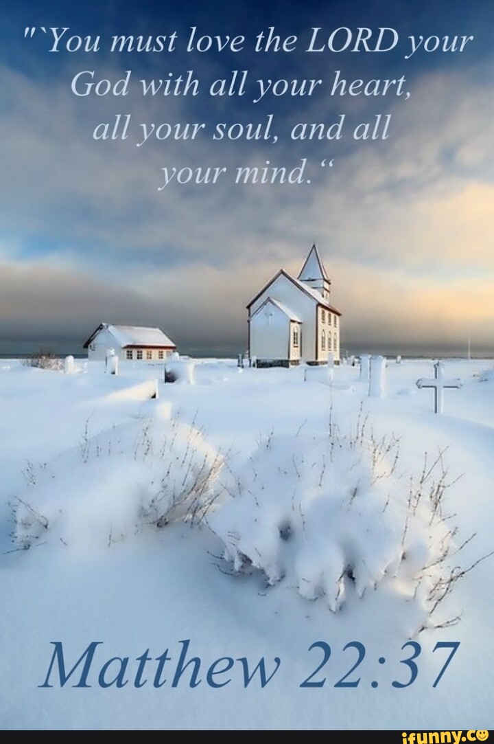 "You must love the LORD your _ God with all your heart, all your soul ...