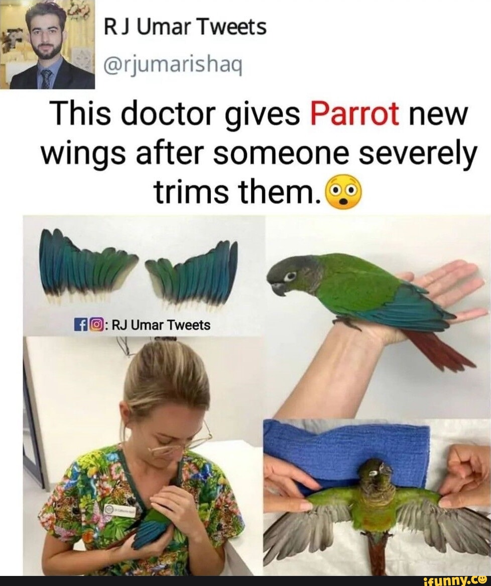 Trims memes. Best Collection of funny Trims pictures on iFunny