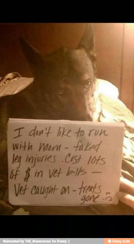 Malingering memes. Best Collection of funny Malingering pictures on iFunny