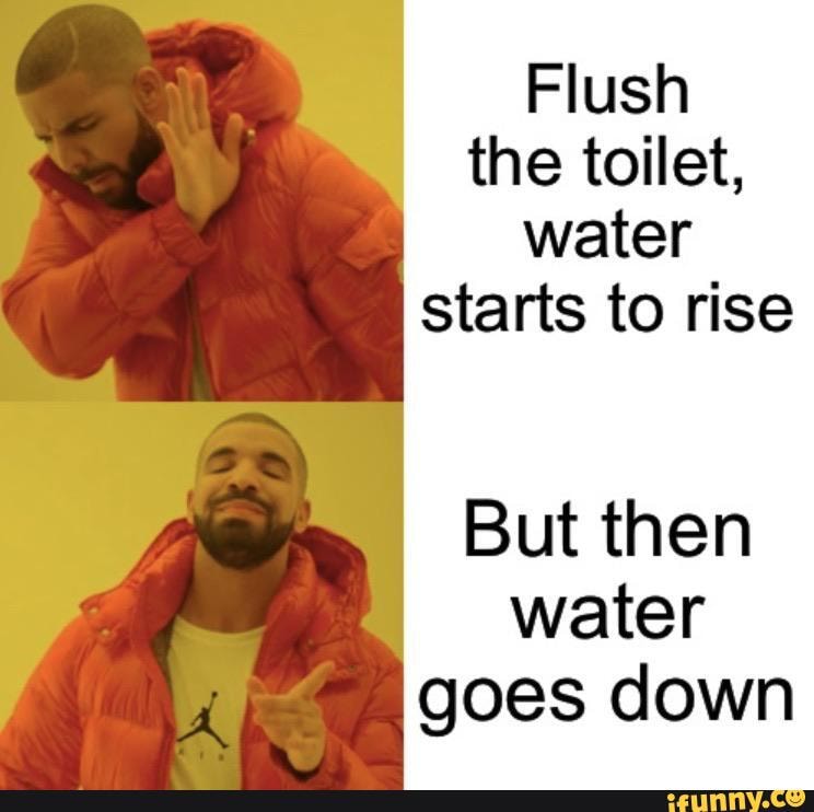 Flush the toilet, water starts to rise But then water goes down - iFunny