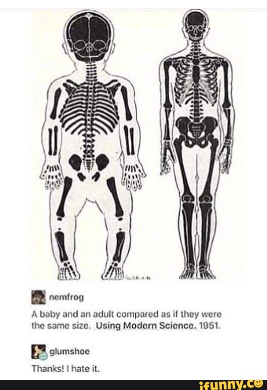 A baby and an adult compared as if they were the same size. Using ...