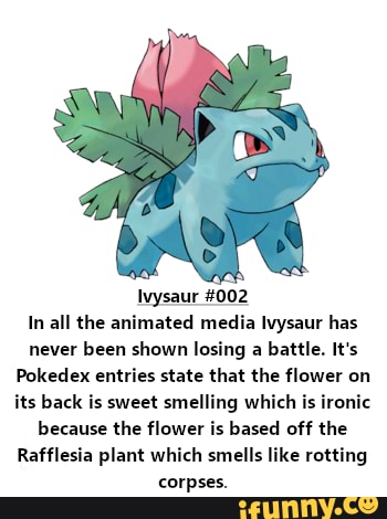 Pokemon Pokedex Memes 25 Seriously Funny Gen 2 Pokédex Entries That