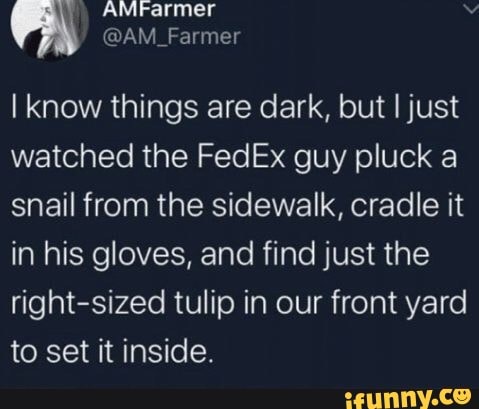 I know things are dark, but I just watched the FedEx guy pluck a snail ...
