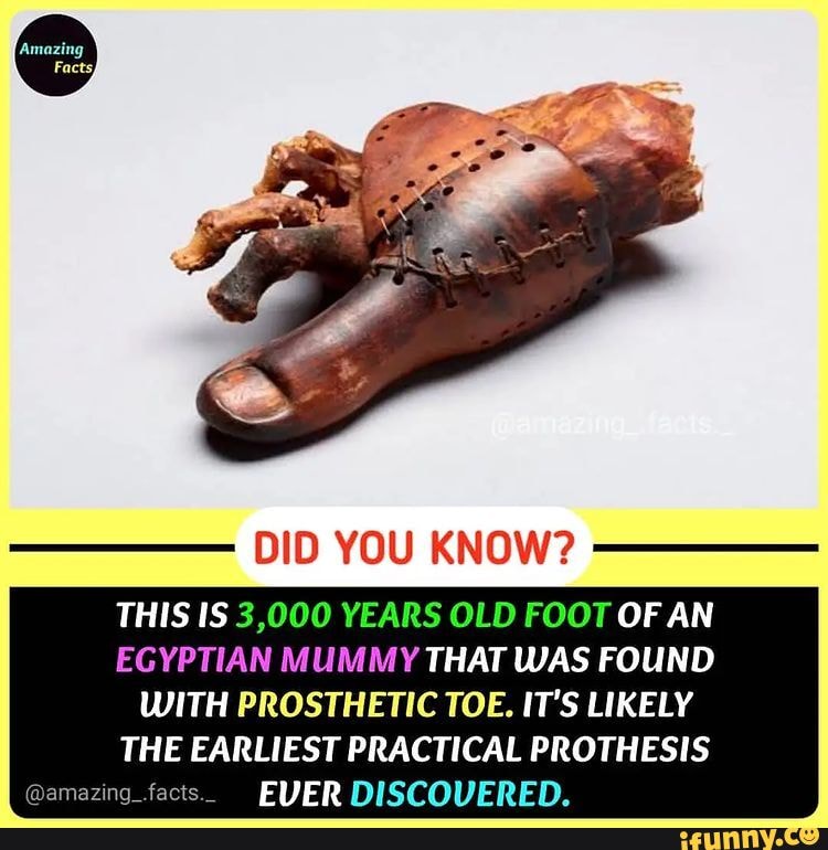 'Amazing Facts DID YOU KNOW? THIS IS 3,000 YEARS OLD FOOT OF AN ...