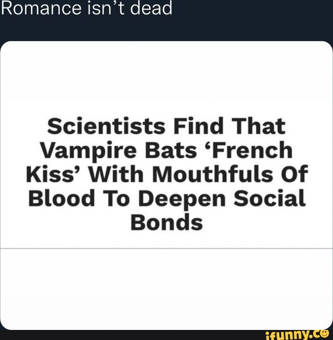 Romance isn't dead Scientists Find That Vampire Bats 'French Kiss' With ...