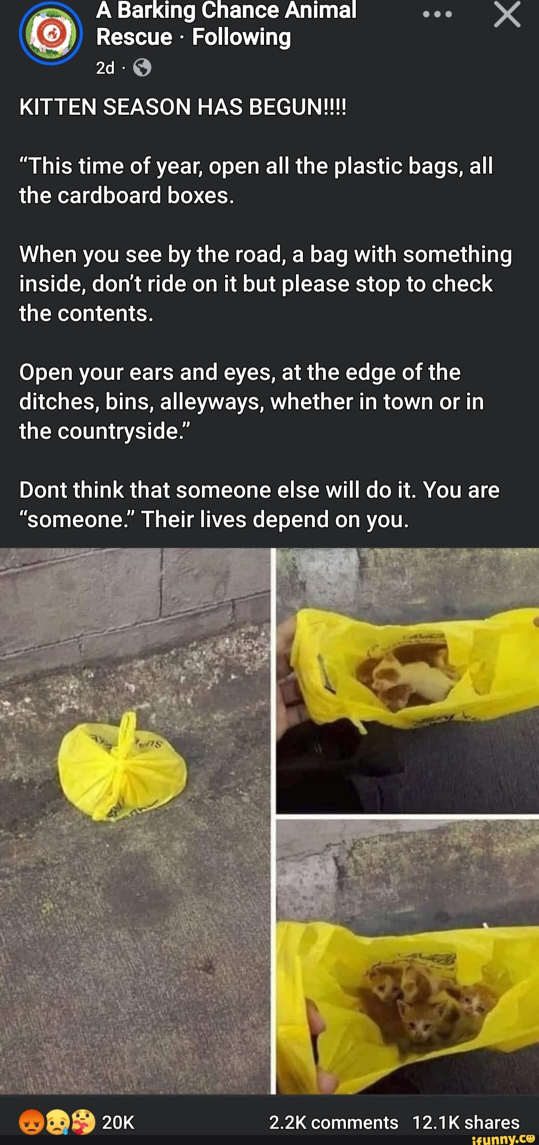 A Barking Chance Animal OK Rescue - Following KITTEN SEASON HAS BEGUN ...