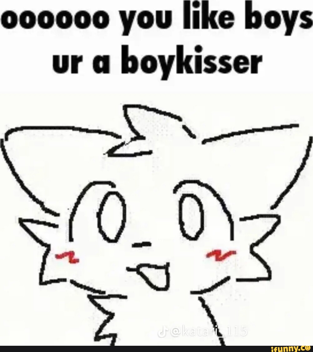 000000 you like boys ur a boykisser IN - iFunny