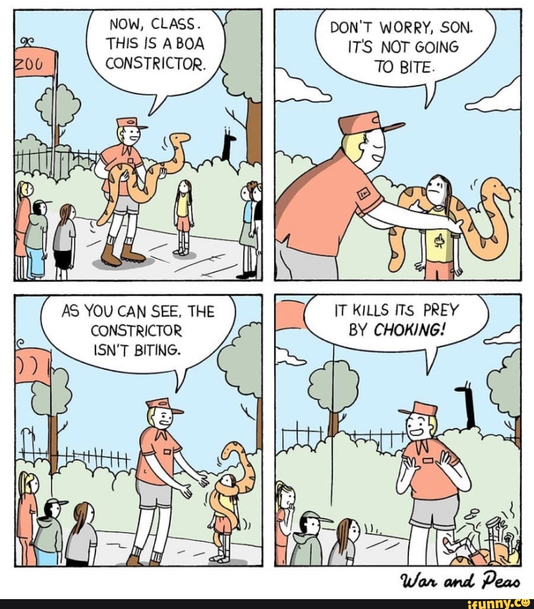 NOW, CLASS. THIS IS BOA CONSTRICTOR. DON'T WORRY, SON. ITS NOT GOING TO ...