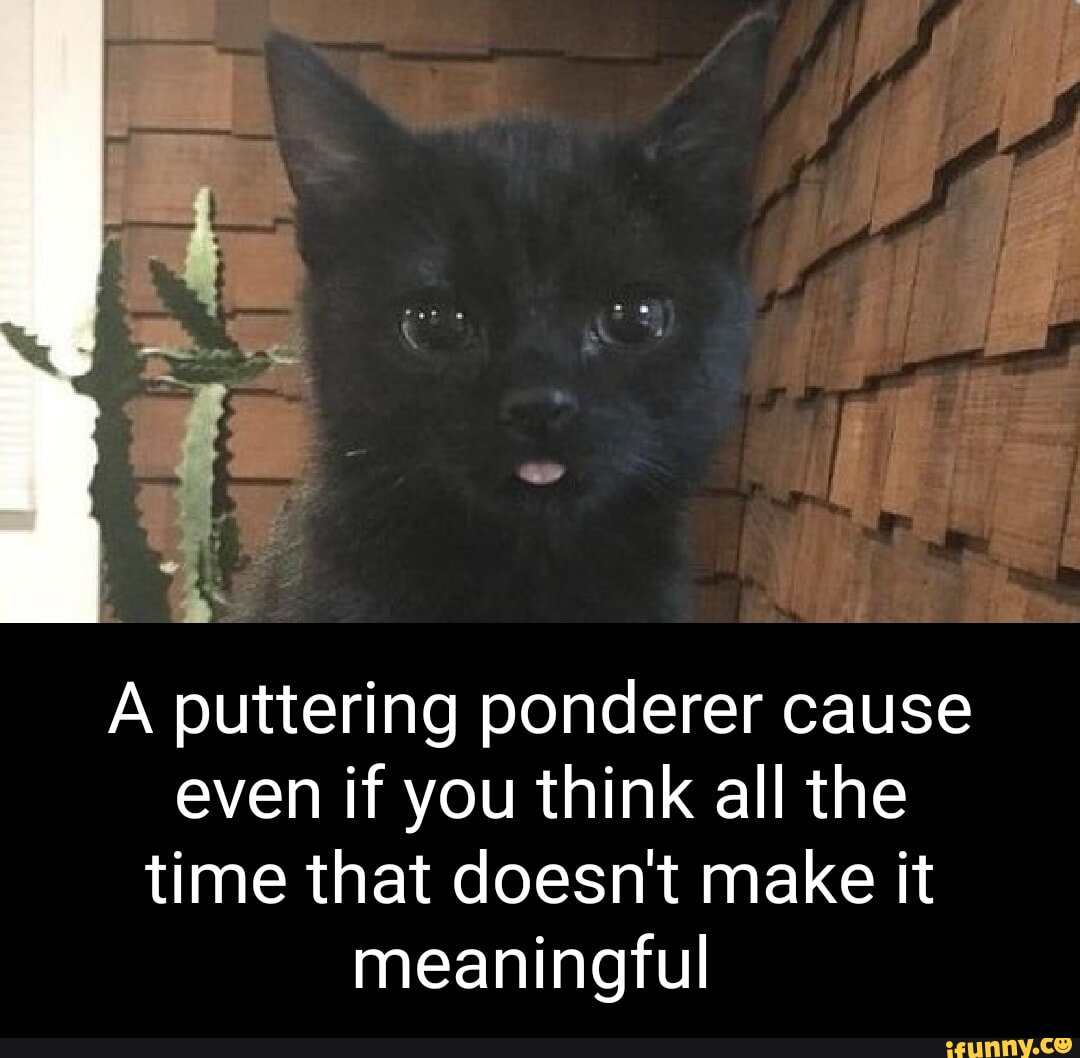 Puttering memes. Best Collection of funny Puttering pictures on iFunny