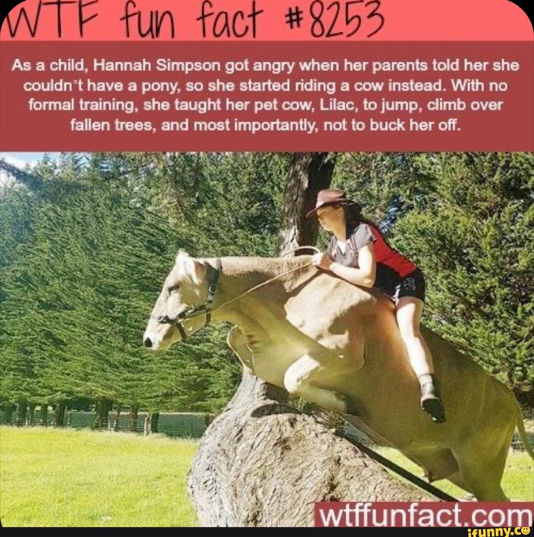 Lilac memes. Best Collection of funny Lilac pictures on iFunny