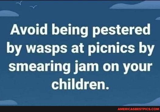 Avoid being pestered by wasps at picnics by smearing jam on your ...