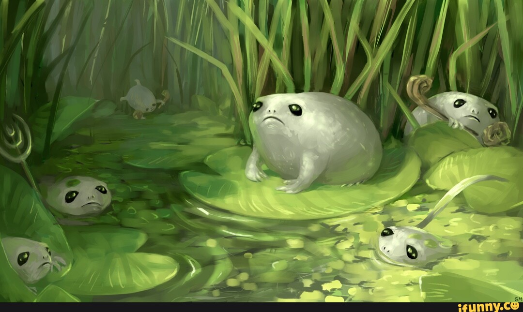 Froggies memes. Best Collection of funny Froggies pictures on iFunny