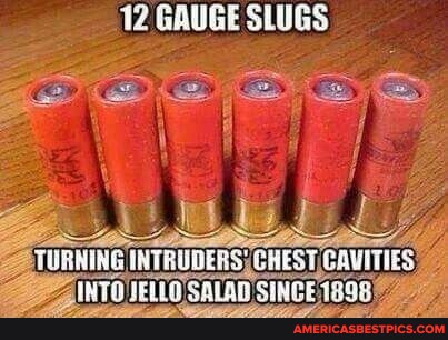 12 GAUGE SLUGS TURNING INTRUDERS CHEST CAVITIE INTO! JELLO) SALAD SINCE ...