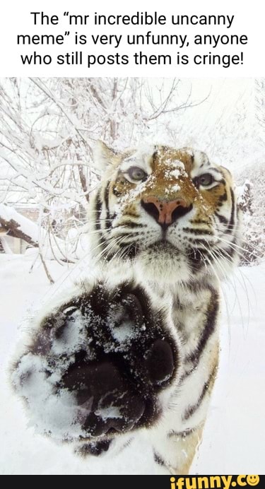 The "mr incredible uncanny meme" is very unfunny, anyone who still ...