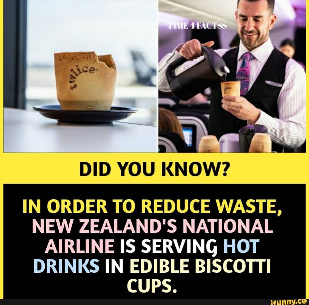 Biscotti memes. Best Collection of funny Biscotti pictures on iFunny