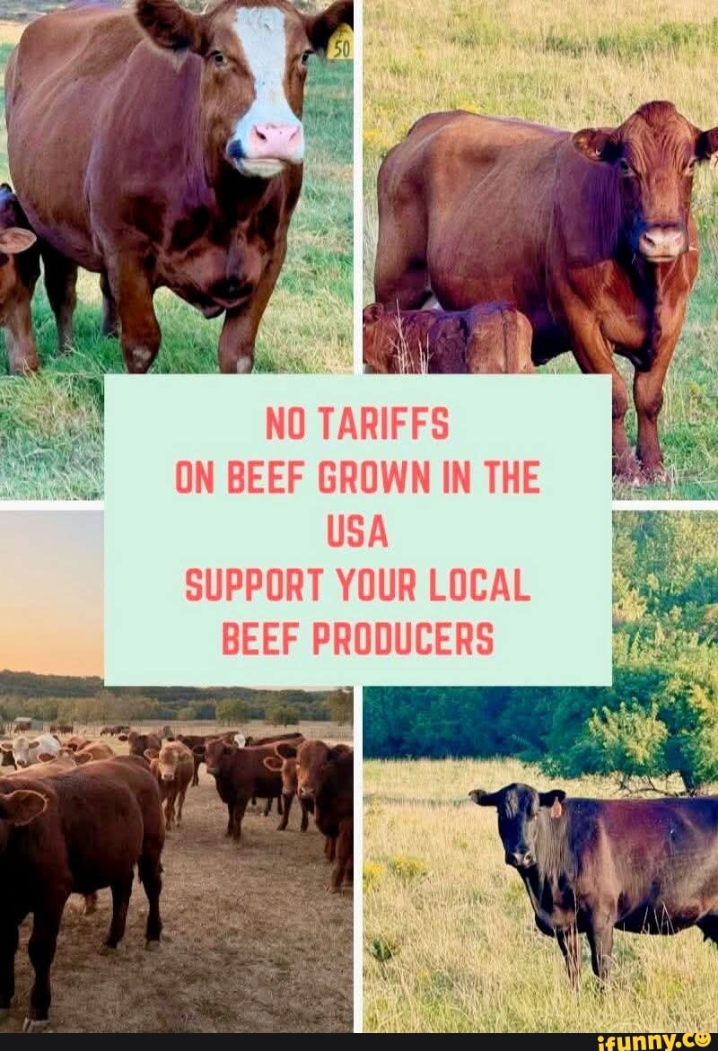 USA SUPPORT YOUR LOCAL BEEF PRODUCERS - iFunny