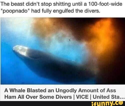 The beast didn't stop shitting until a wide "poopnado" had fully ...