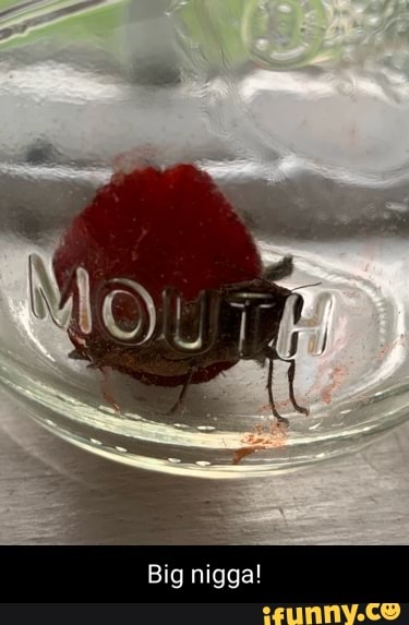 Bugposting memes. Best Collection of funny Bugposting pictures on iFunny