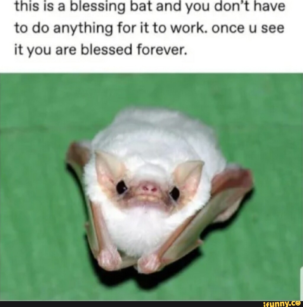 This is a Diessing bat and you don't nave to do anything for it to work ...