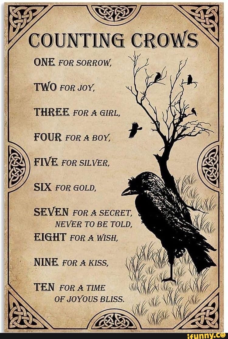 COUNTING CROWS ONE For sorrow, TWO For soy, THREE For GIRL, FOUR For ...